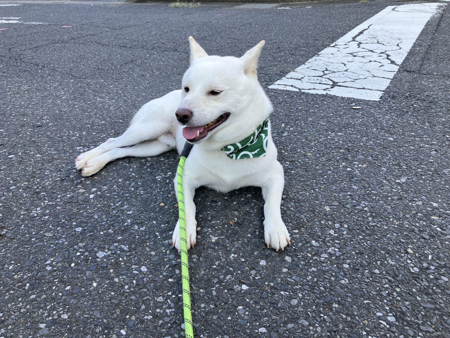 TOBが実施された場合の税金の取り扱い | からくさ税理士事務所