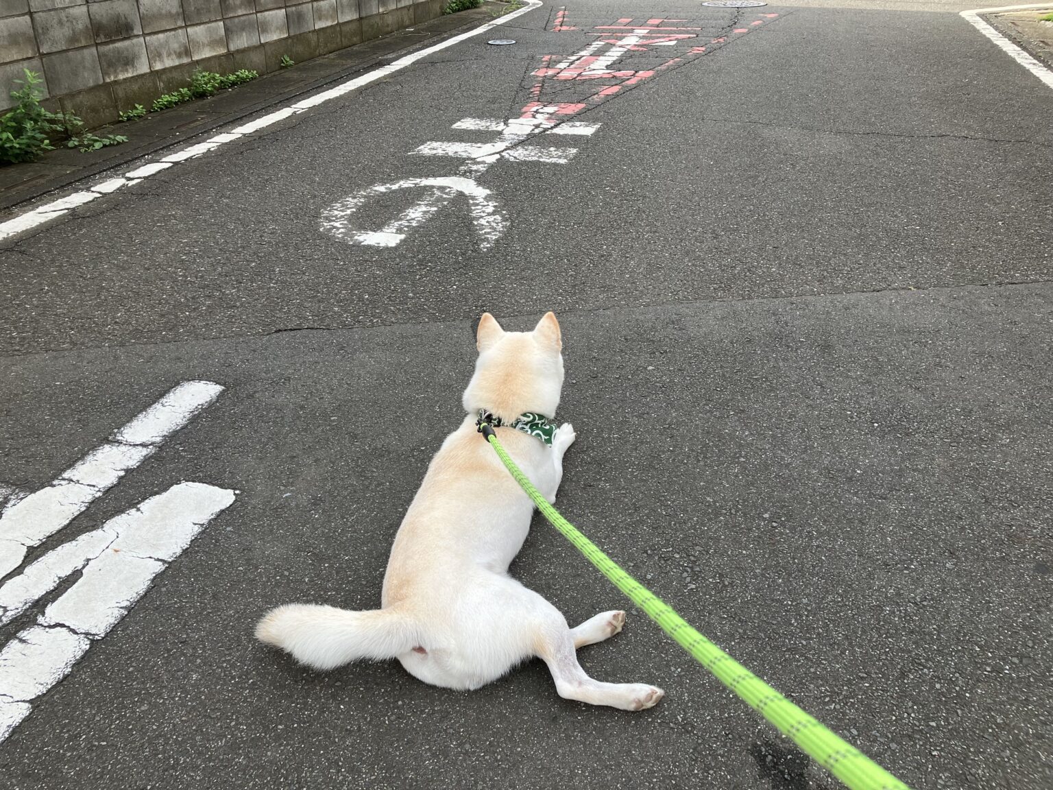 遺産分割のやり直しをする際の税務上の注意点 からくさ税理士事務所