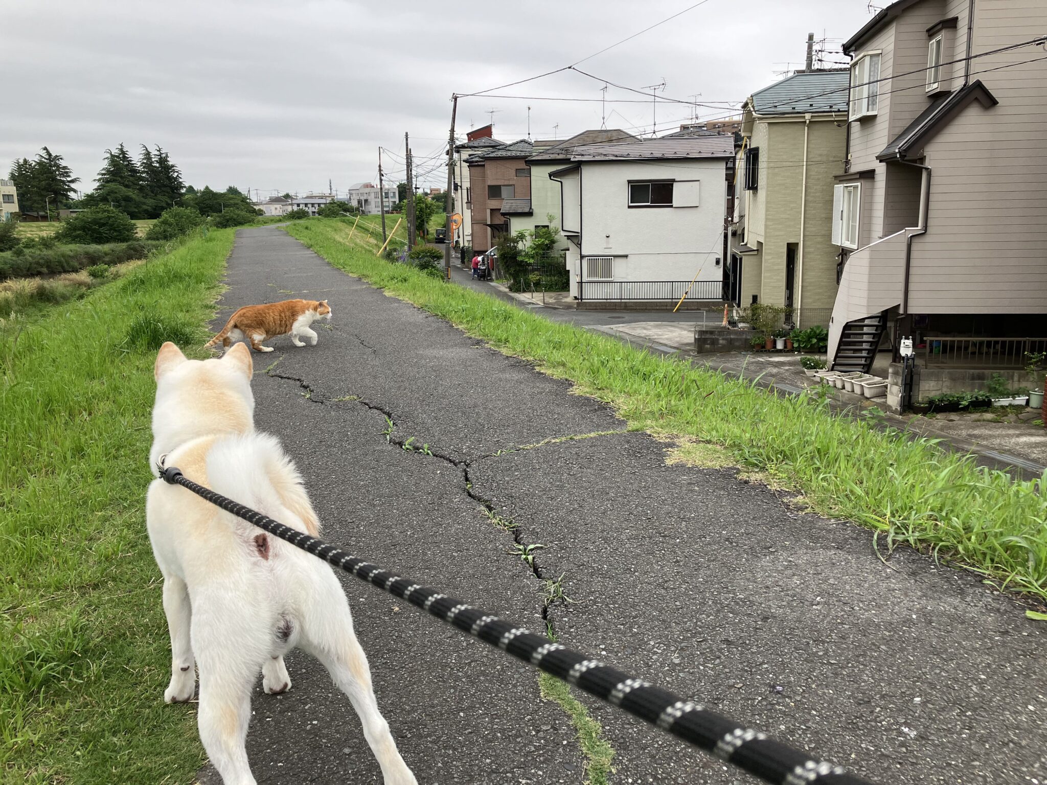青色事業専従者給与を増額するときは届出を忘れずに提出しよう | 個人事業主と小さな会社のための税理士｜堀江大介（志木市・新座市）